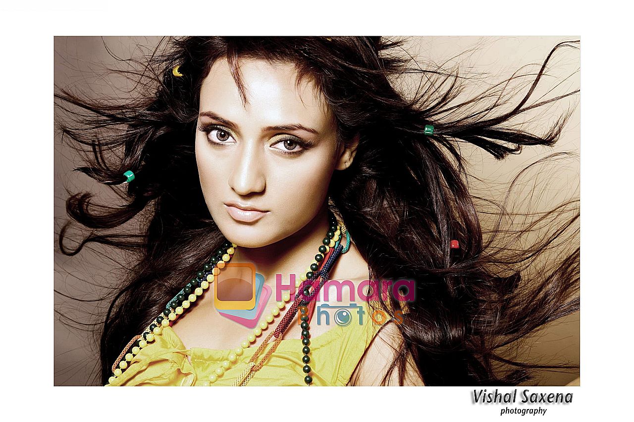 Arshie Wallpaper / Arshi Khan - Bollywood Photos